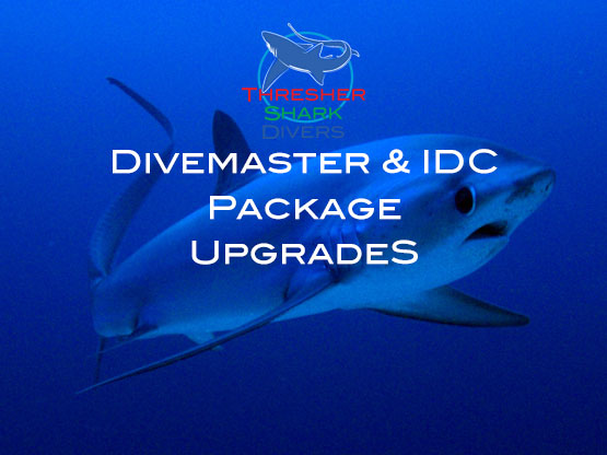 Divemaster and IDC Package Upgrades - Diving Internships Philippines